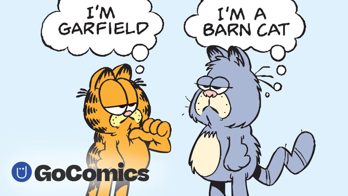 cute tabby cat rival of garfield