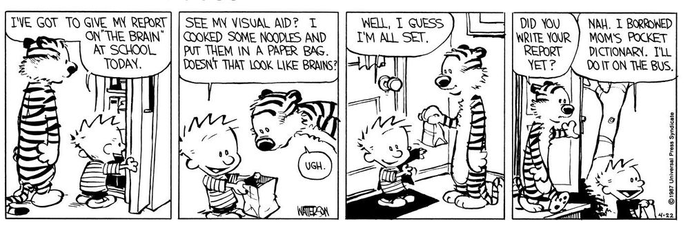 The Noodle Incident in Calvin and Hobbes, Explained