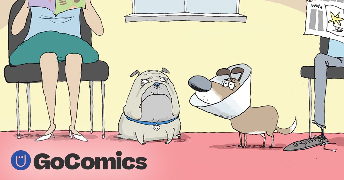 Read The Flying McCoys by Glenn McCoy and Gary McCoy