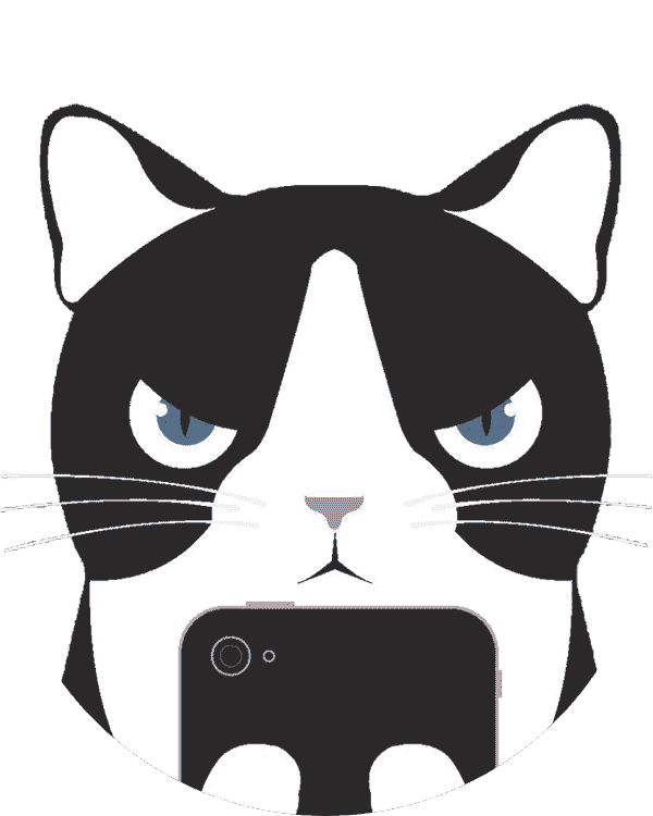 Texts From Mittens by Angie Bailey for June 24, 2025 | GoComics